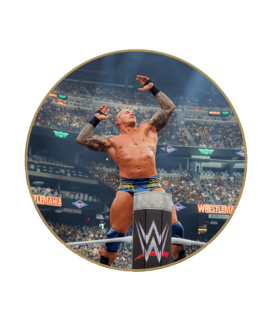 WWE Tickets | Official VIP Packages to WWE Events | On Location